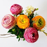 Fleuriste Château-Renard