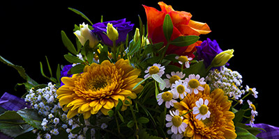 Fleuriste Château-Renard